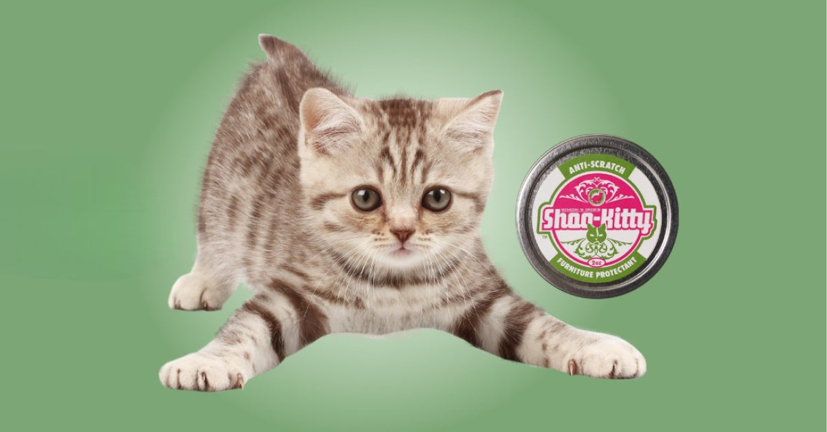 Shookitty - Cat scratching post, Stop Cat scratching, Stop Cat Chewing ...